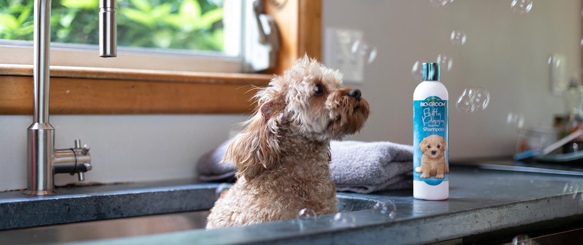 Bio-Groom | Exceptional Pet Care Products for Over 50 Years